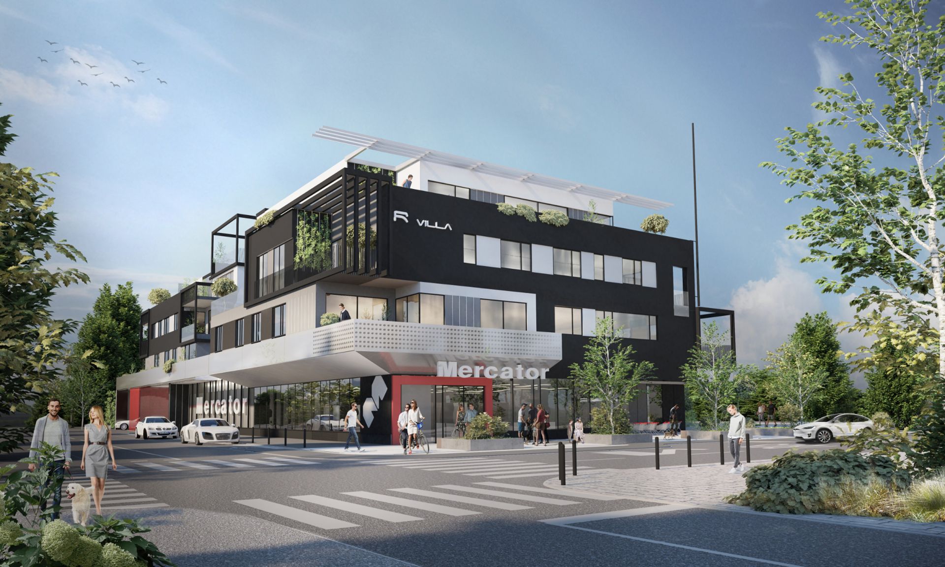 Vila Rožna Dolina - Mijaks